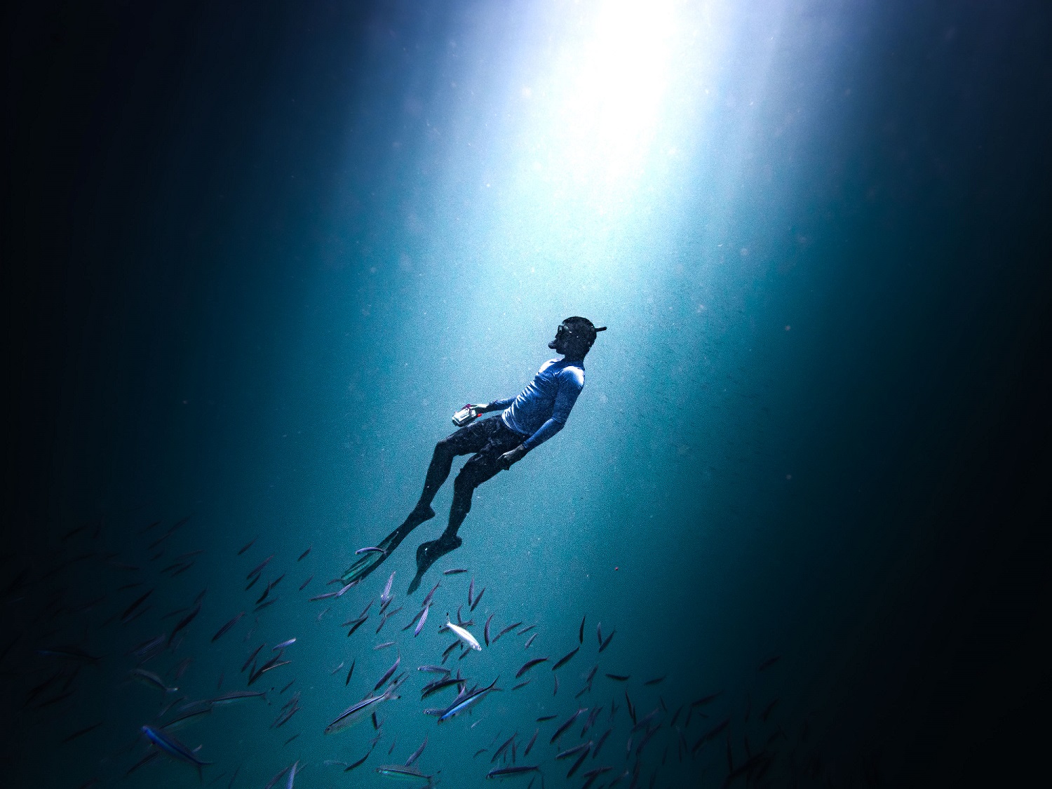 Amilla Maldives Teams up with Oliver Ridley Project to Host Maldivian ... Amilla Maldives Teams up with Oliver Ridley Project to Host Maldivian ...